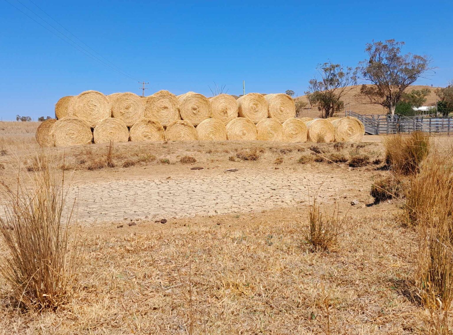 Hay with heart - AustralianFarmers