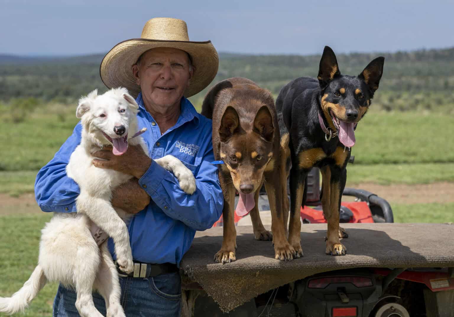 The fascinating story behind how the kelpie got its name ...