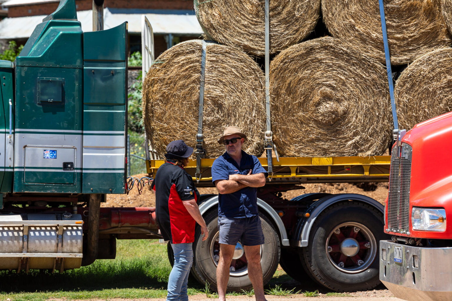 Hay with heart - AustralianFarmers