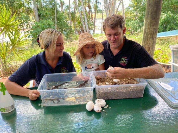 Behind the gate of a crocodile farm - AustralianFarmers
