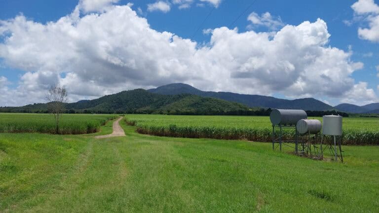 The sweet life farming sugar - AustralianFarmers