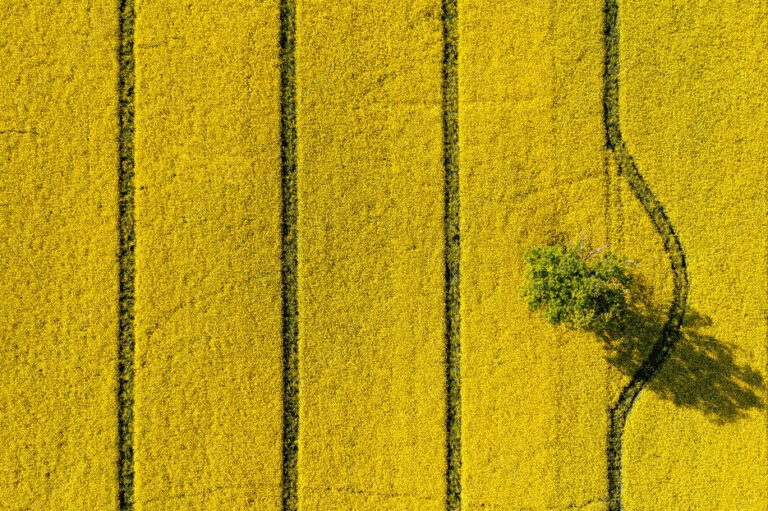 A snapshot of Australian Agriculture - AustralianFarmers