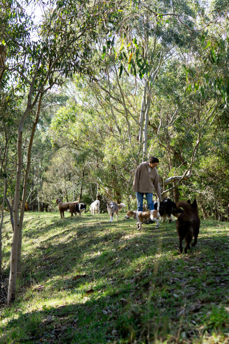 Barking adventures at Adelaide Dog Farm Days - AustralianFarmers