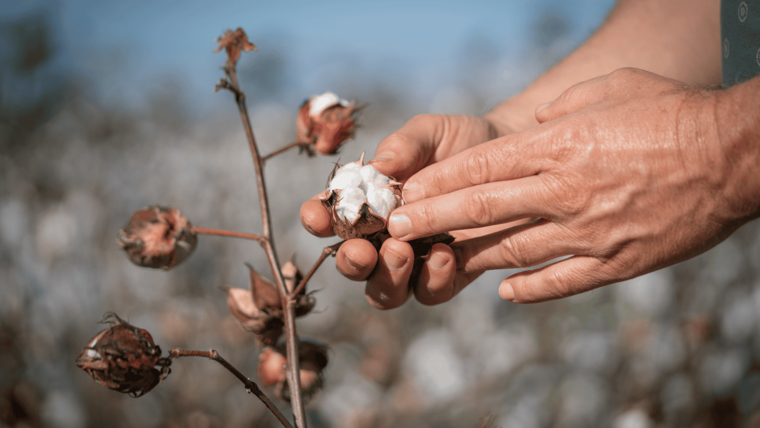 Safety for ageing farmers - AustralianFarmers
