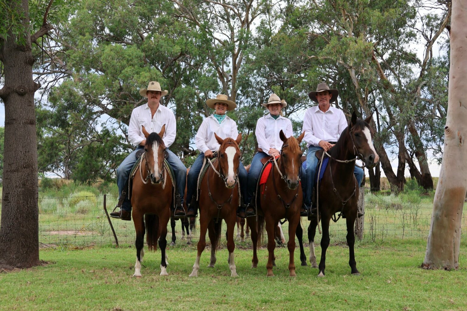 Mustering in the Marshes - AustralianFarmers