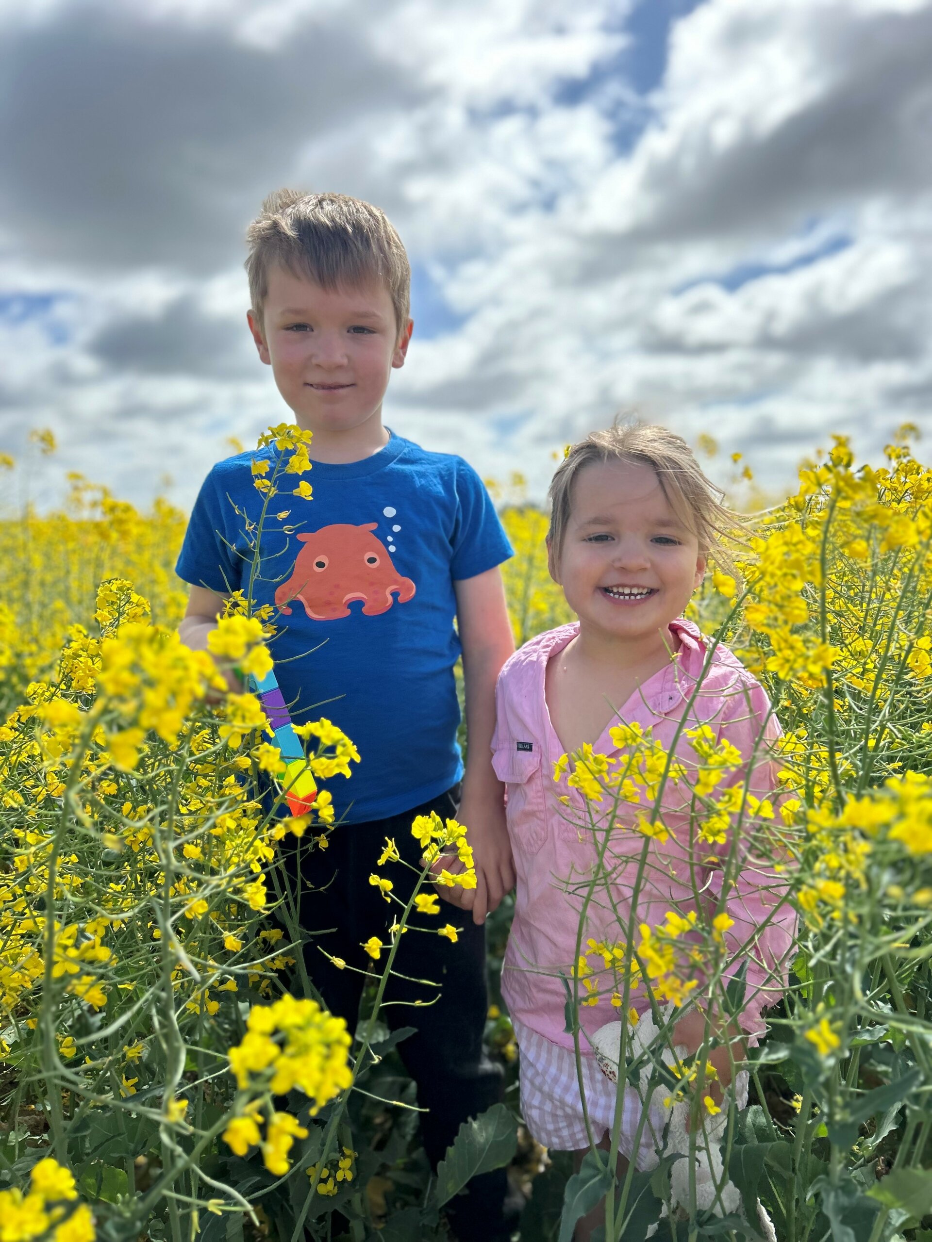 Rice growers reuse water, win gold - AustralianFarmers