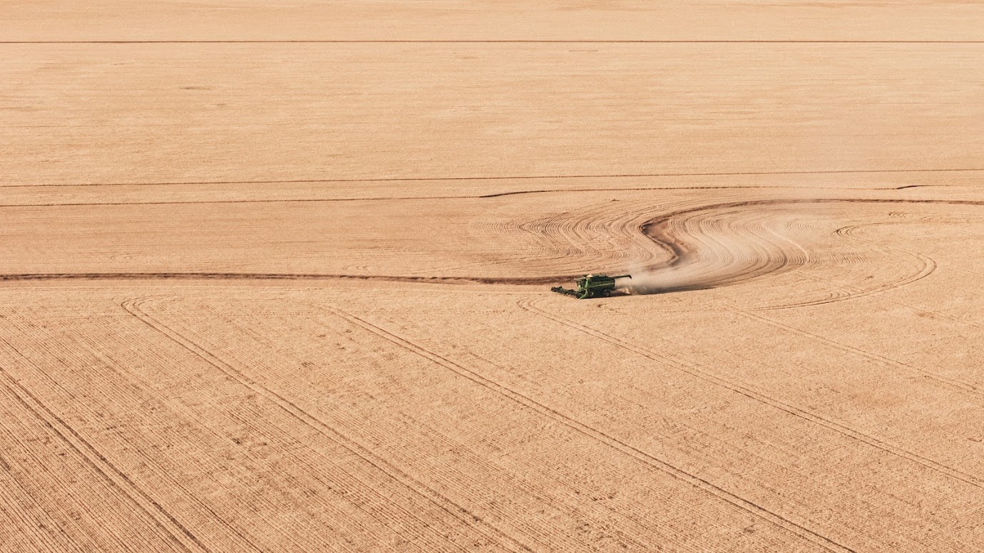What is ‘shot and sprung’ grain? - AustralianFarmers